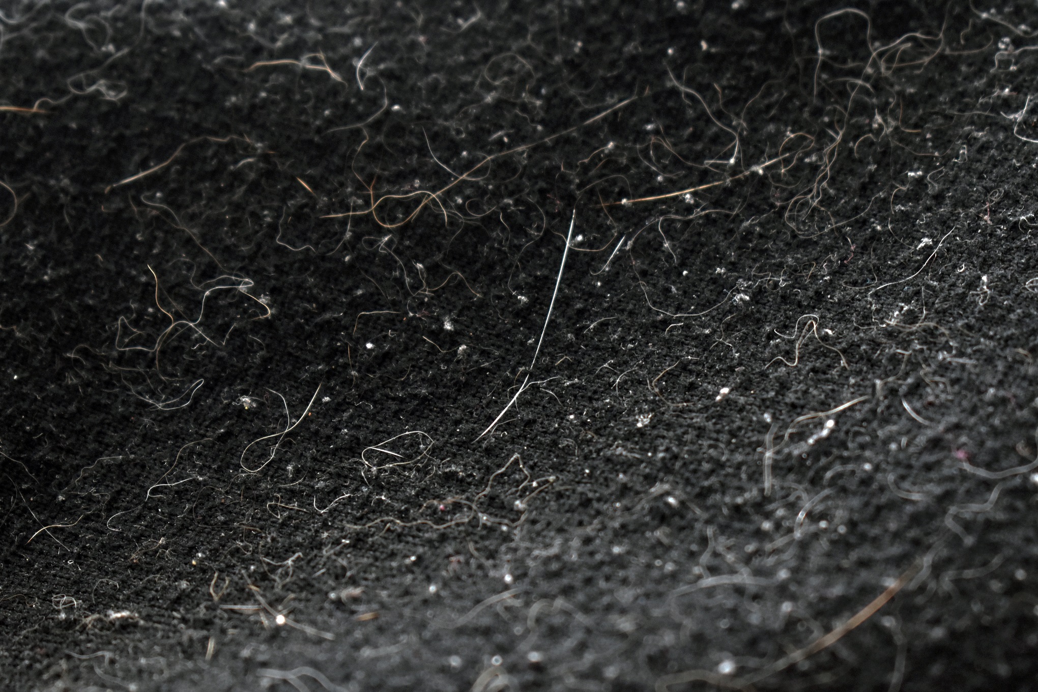 A Divine Temper Tantrum? – Red Door Church of South Royalton